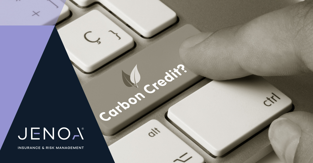 Carbon removal, carbon credits and the insurance industry | JENOA®